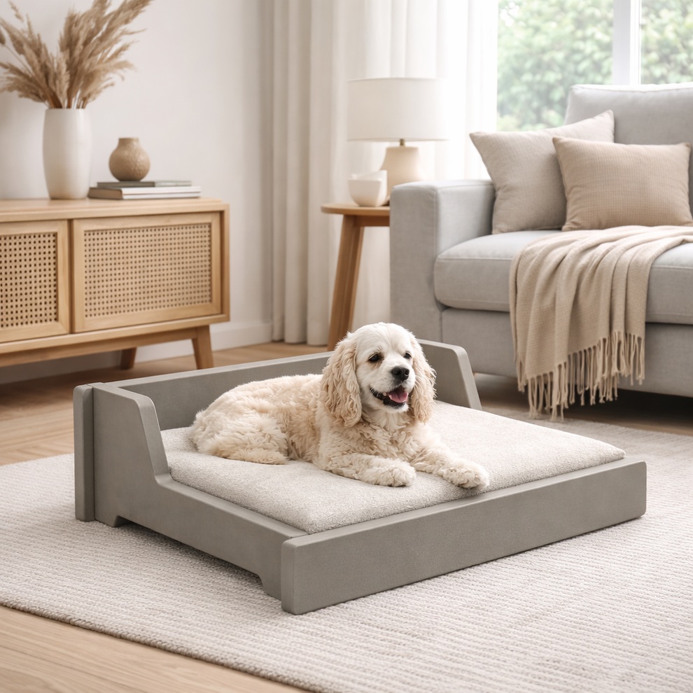 Luxe Raised Pet Bed – Mocha Brown – Auralivin